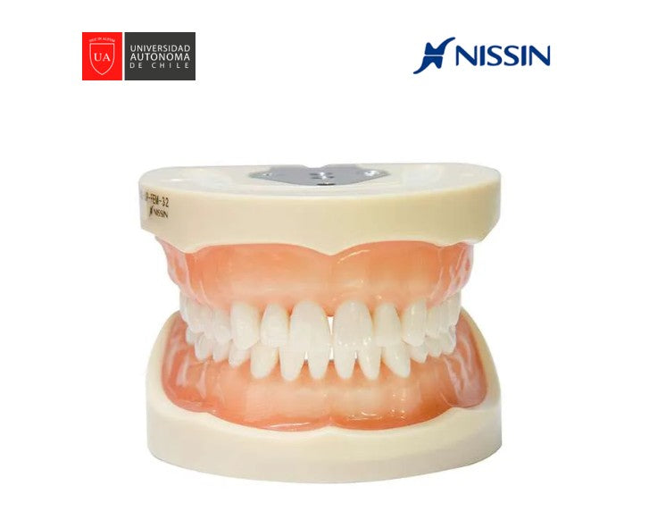 MAXILAR PROTESIS ENCIA BLANDA NISSIN (PRO2002-UL-UP-HM-28) UNIVERSIDAD ...